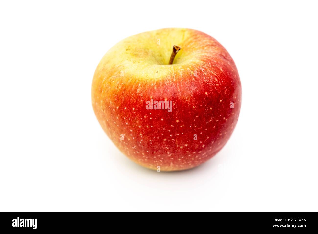 Saftiger hintergrund hi-res stock photography and images - Alamy