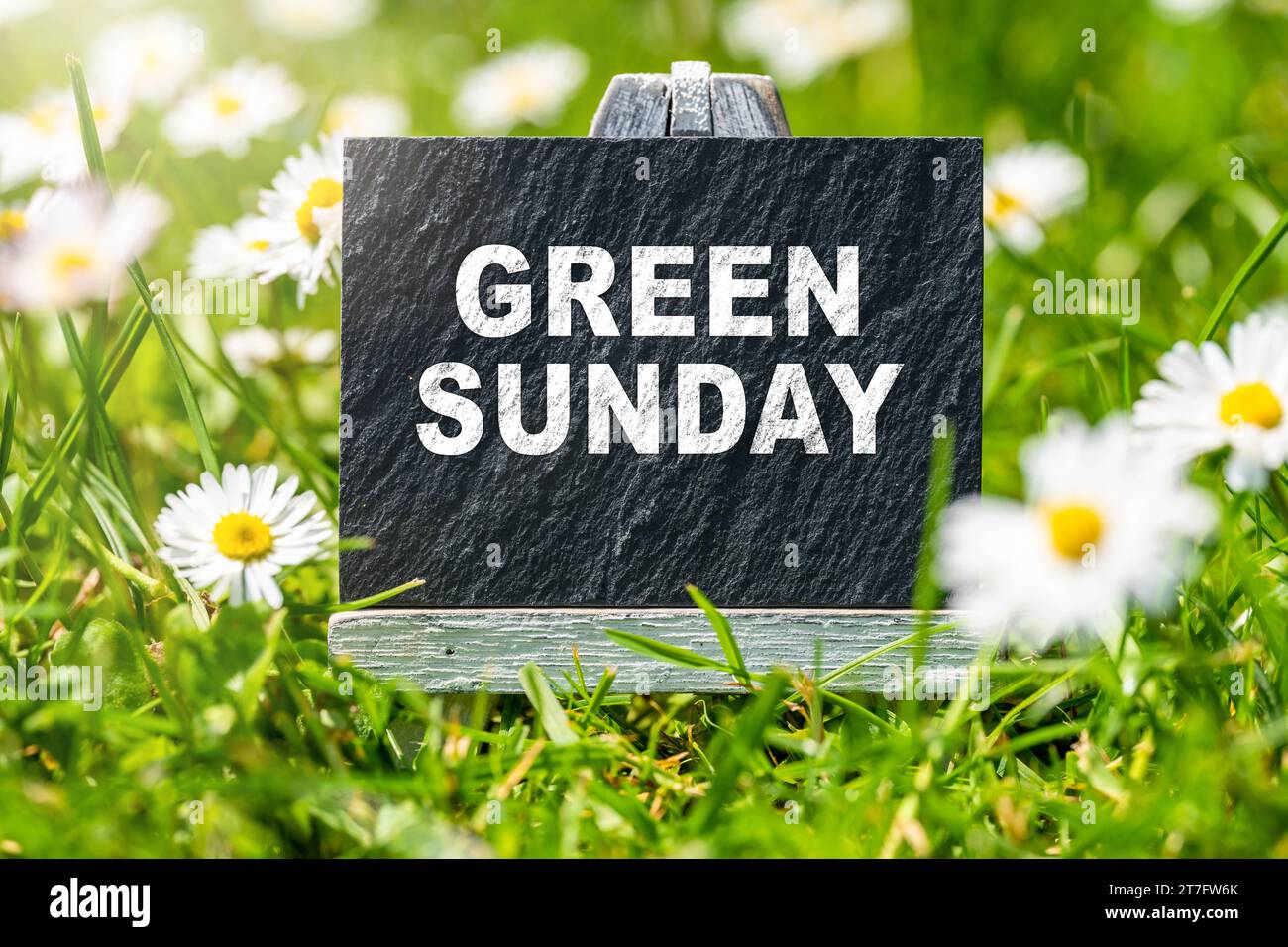 Grunes schild hi-res stock photography and images - Alamy