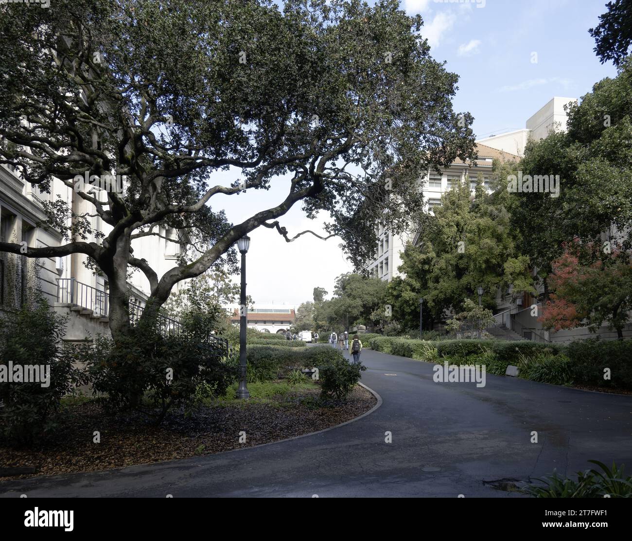 Campus of UC Berkeley, Berkeley, California, USA Stock Photo - Alamy
