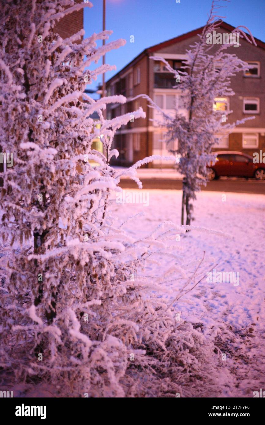 Suburban home setting hi-res stock photography and images - Alamy