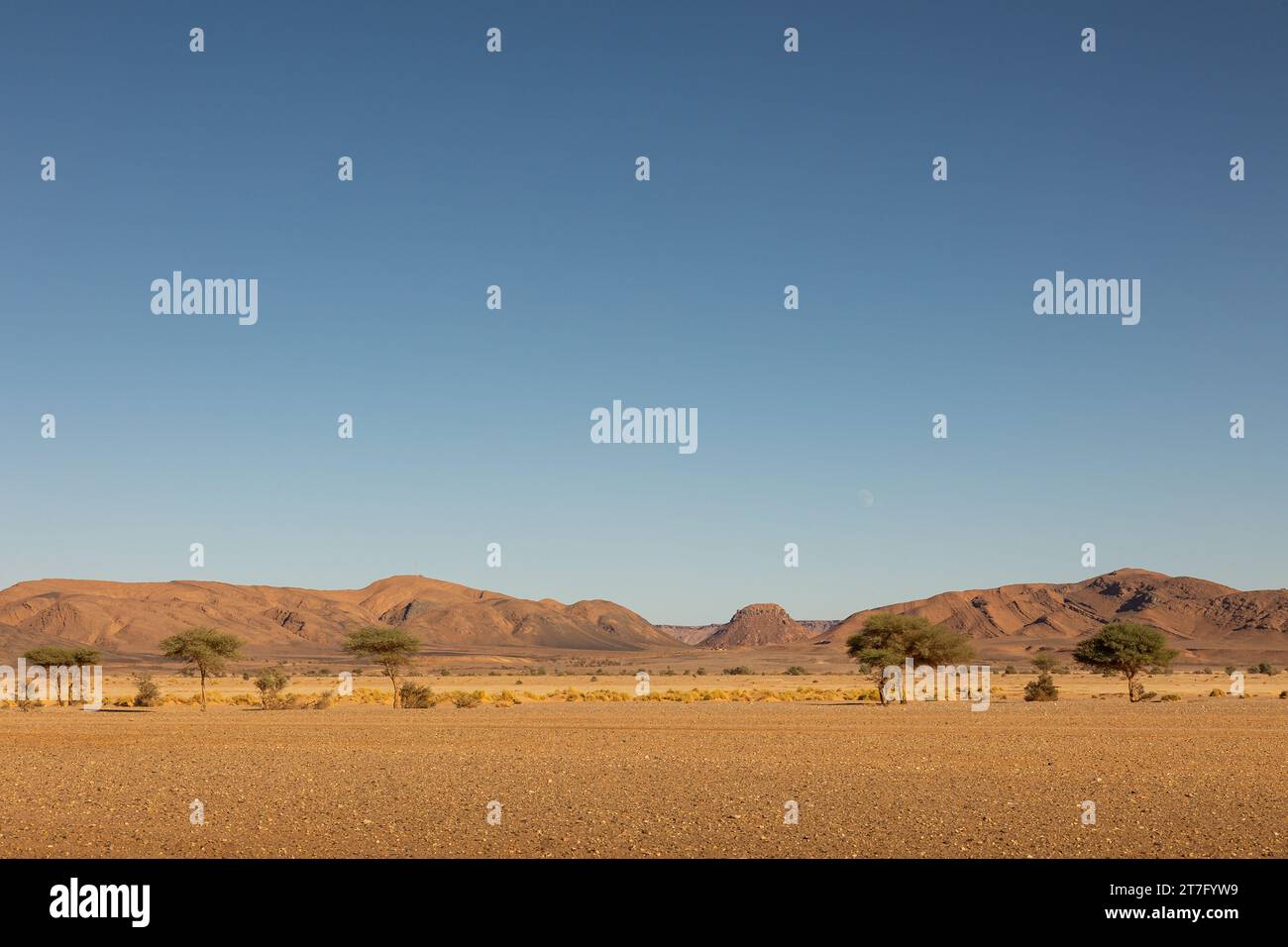 Scenes from the Sahara desert Stock Photo - Alamy