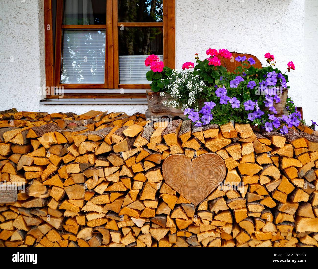 rustic windows with cute white curtains, wooden shutters and red ...
