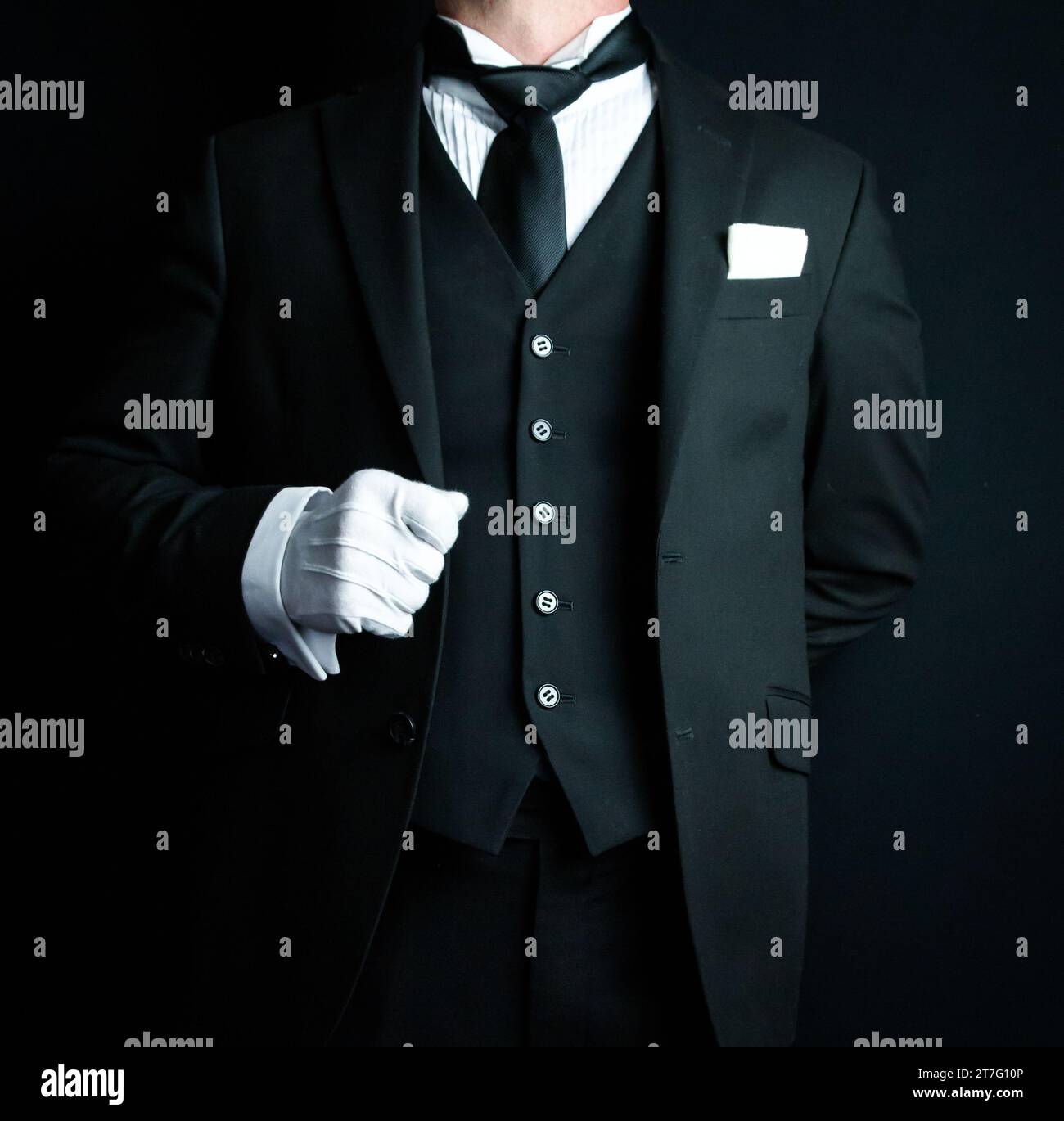 Portrait of Elegant Butler in Dark Formal Suit and White Gloves ...