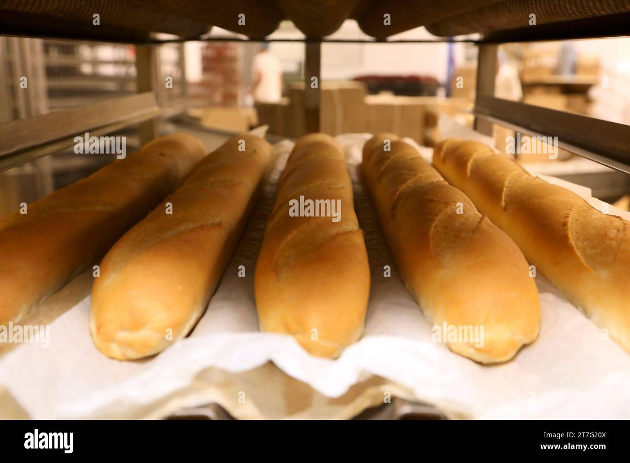 close up of sticks of freshly made french bread placed on a wire rack and sat on grease-proof ...