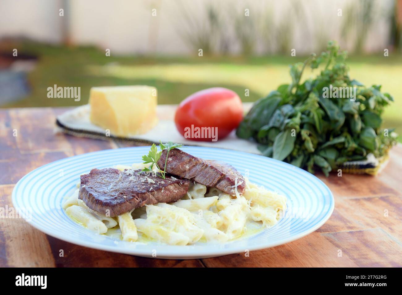 white sauce pasta and beef filet mignon with parmesan cheese, tomato ...