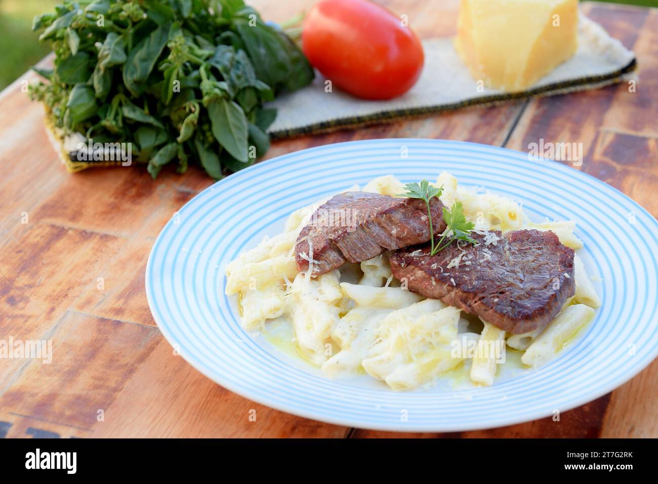 italian pasta white sauce pasta and beef filet mignon with parmesan ...