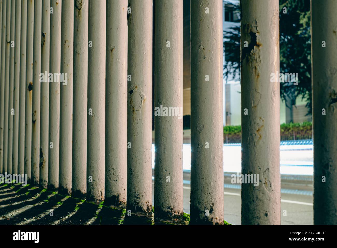 Row of white piles that divide the sidewalk from the road where cars ...