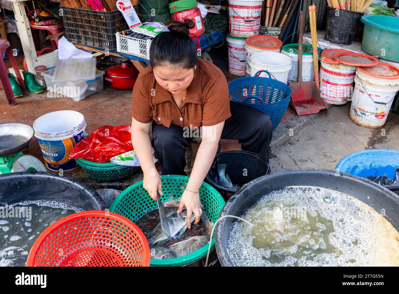 Street of central market, woman selling fishes, Phonsavan, Xiangkhouang ...