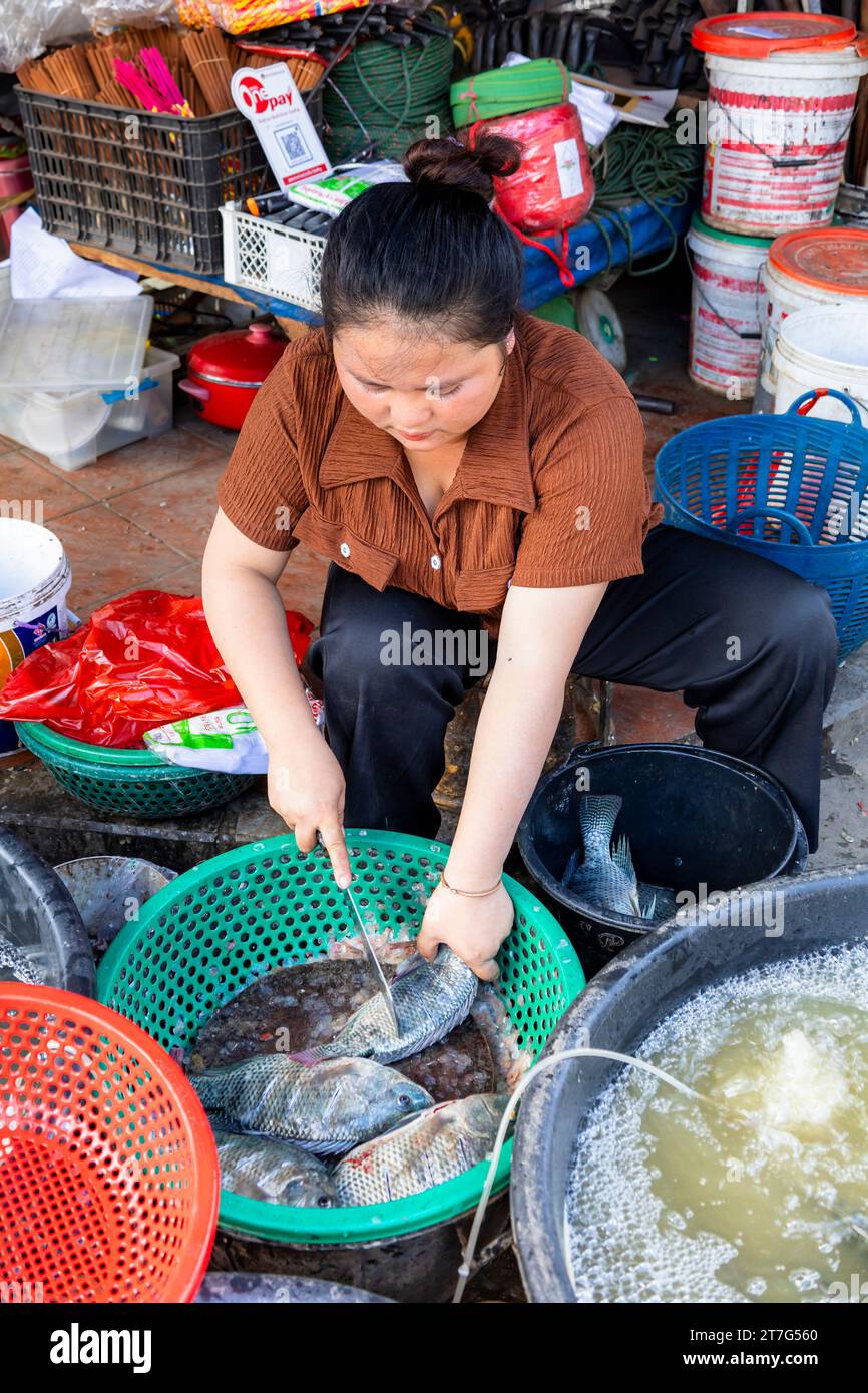 Street of central market, woman selling fishes, Phonsavan, Xiangkhouang ...