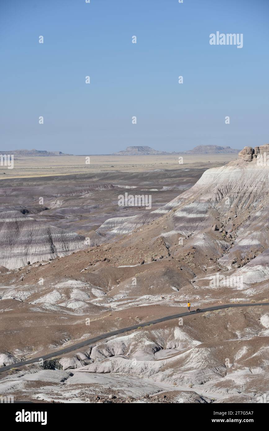 Painted Desert National Park, AZ USA 10/17/2023. Blue Mesa is a ...