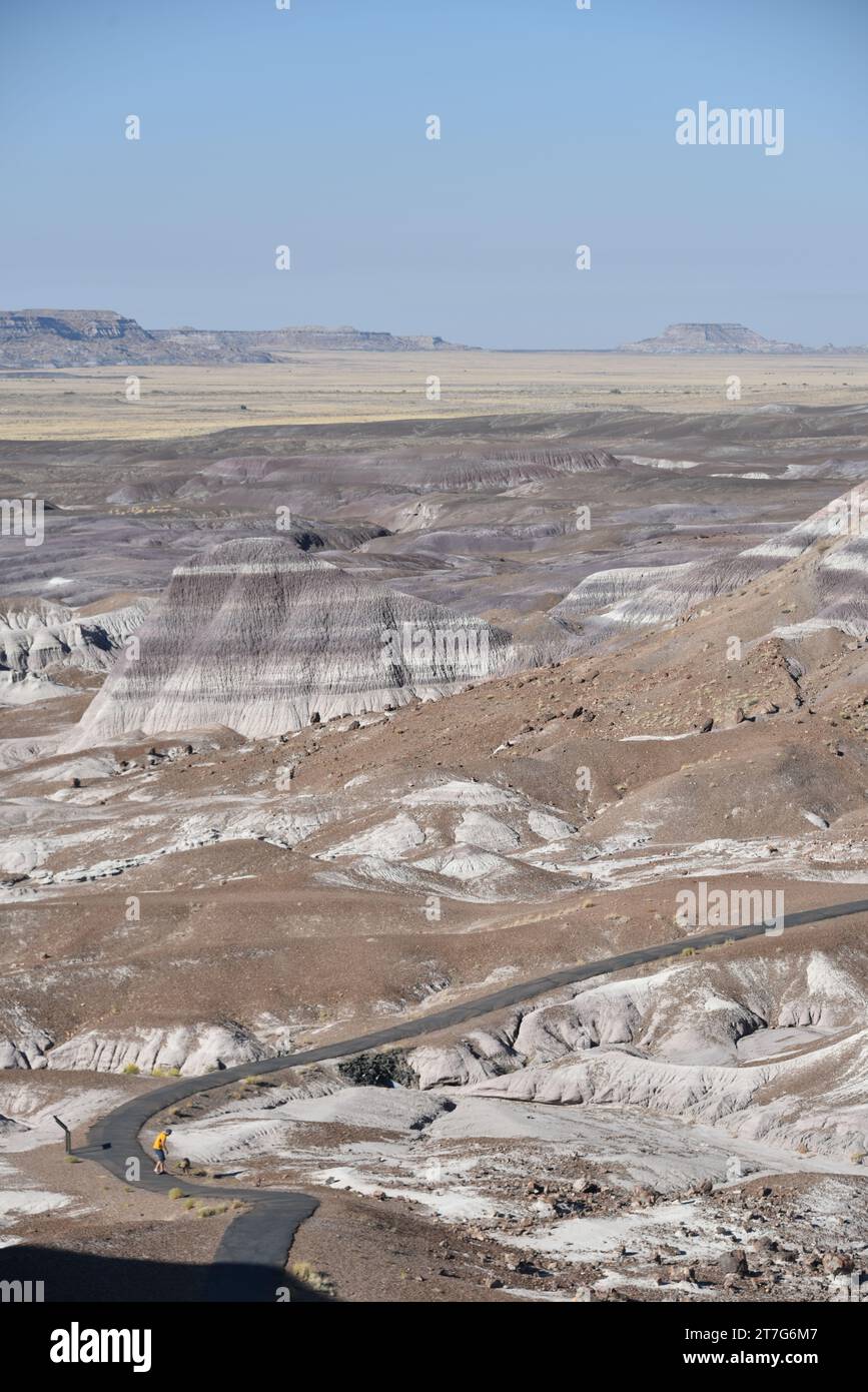 Painted Desert National Park, AZ USA 10/17/2023. Blue Mesa is a ...