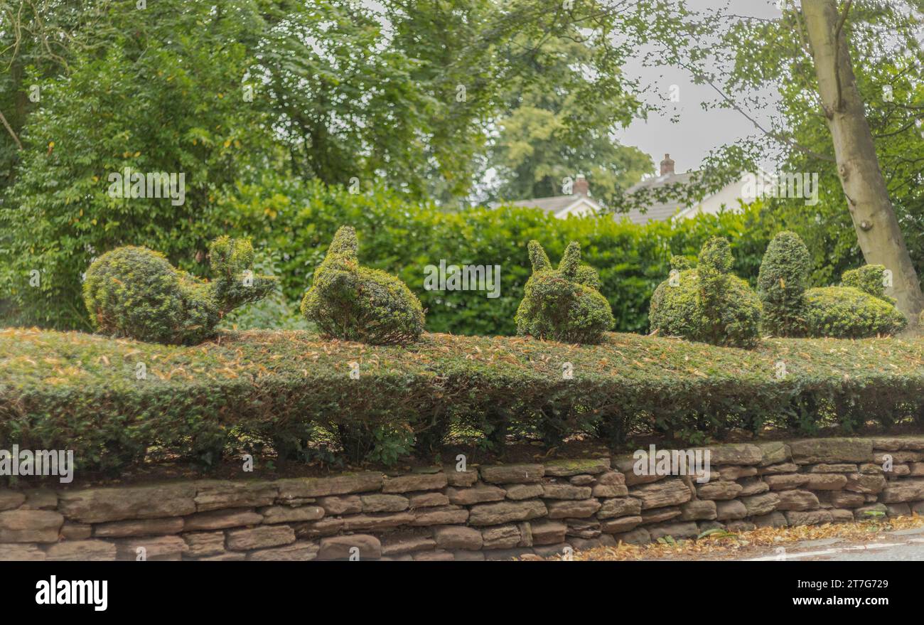 Topairy animals on the top of a yew hedge and sandstone wall Stock ...