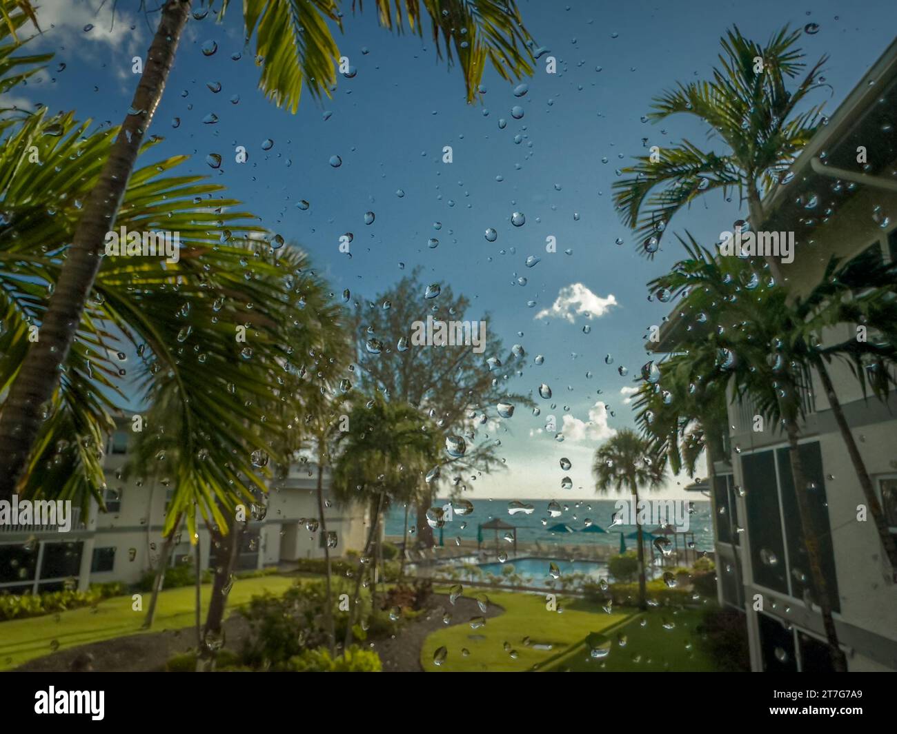 Grand Cayman, Cayman Islands, May 25th 2023, view of rain drops on a ...