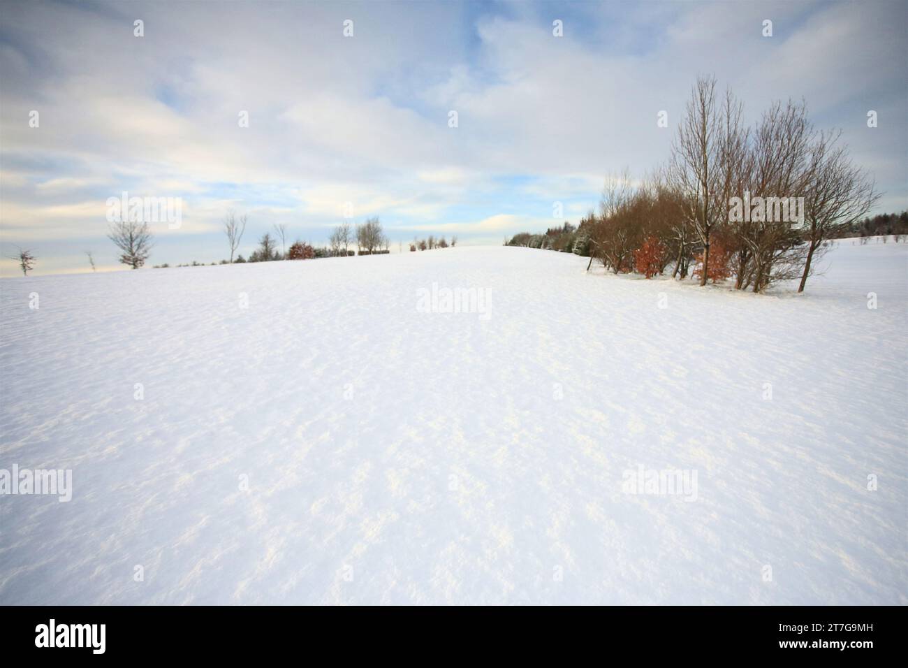 snow covered hillside with trees and cloudy blue sky above Stock Photo ...