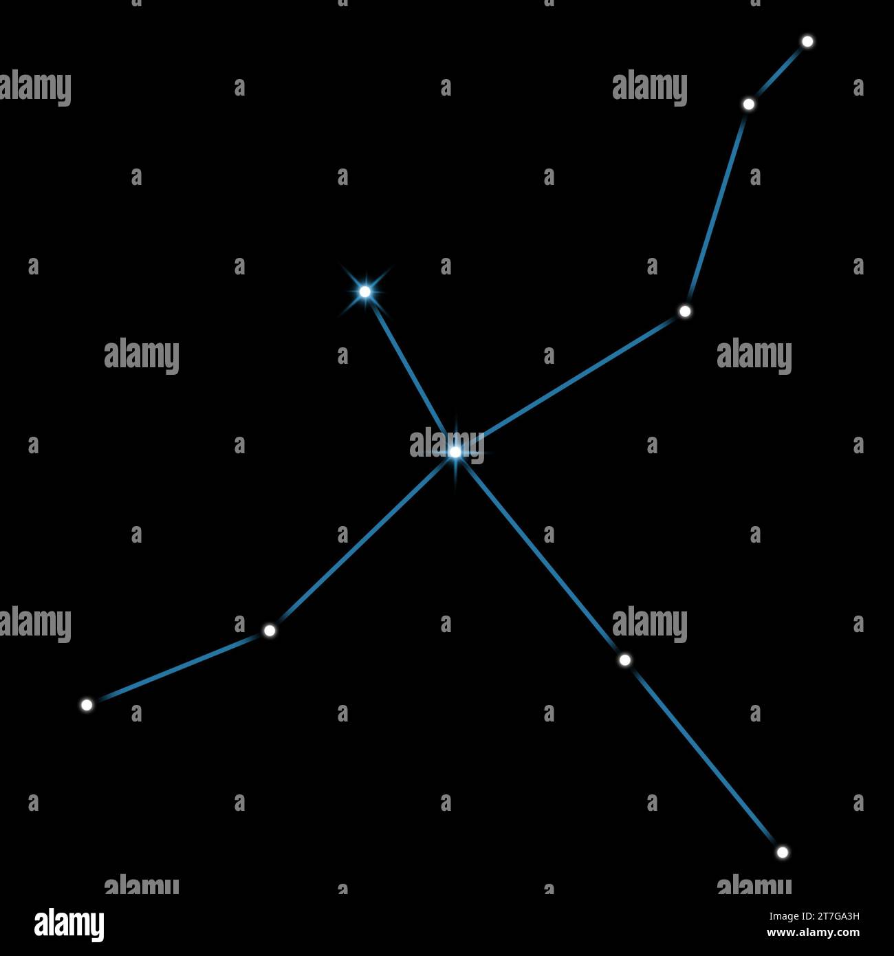 Swan (Cygnus) constellation. Stick figure pattern on black background ...
