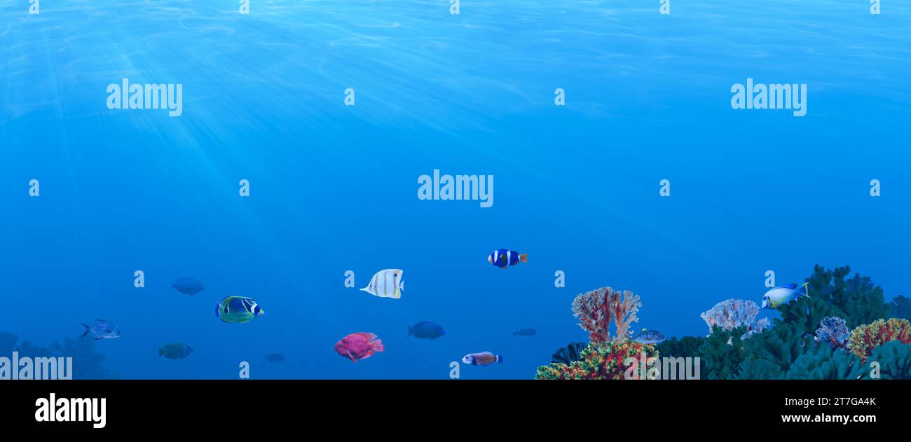 Beautiful corals and different fishes in sea, banner design. Underwater ...