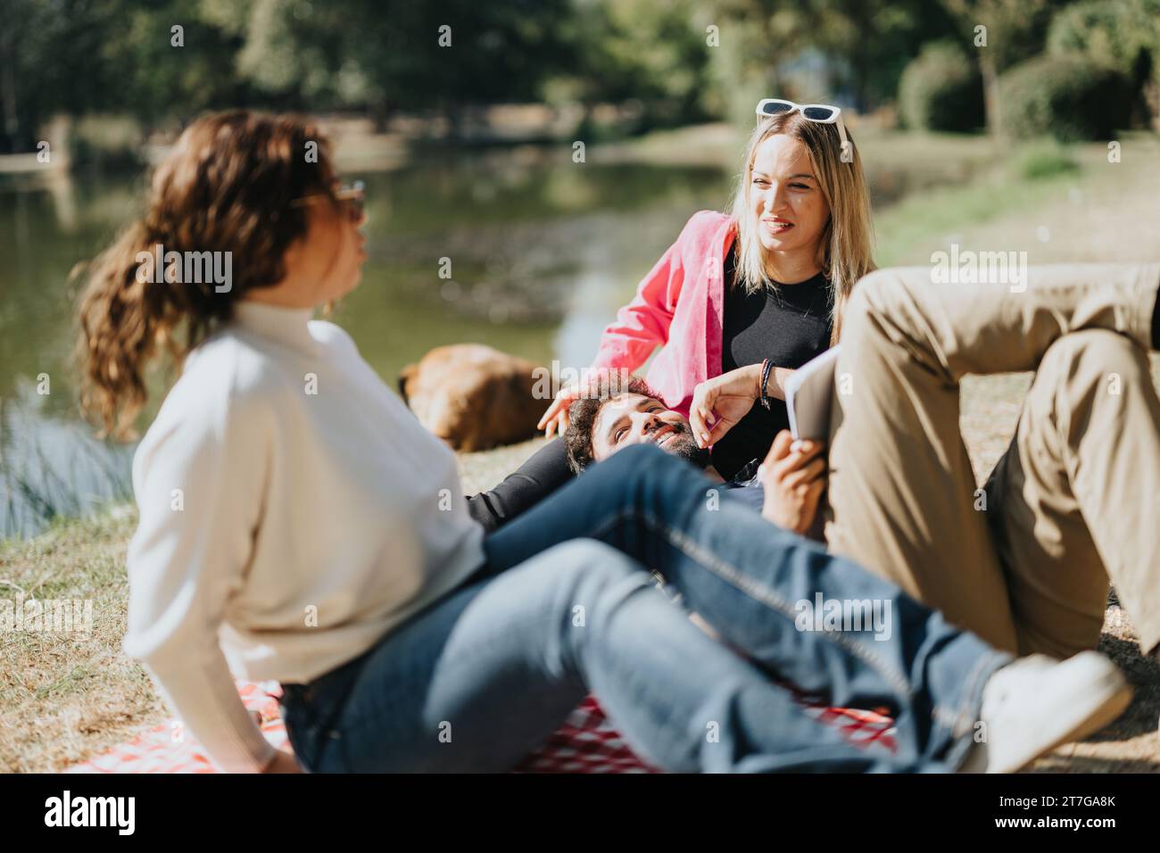Friends and their dogs in a city park, enjoying a carefree weekend ...