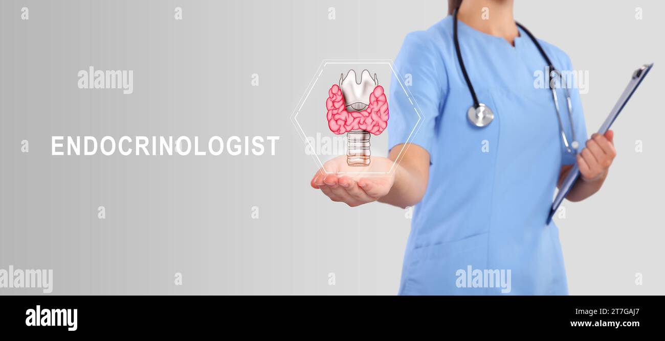 Endocrinologist holding virtual thyroid gland on light grey background ...