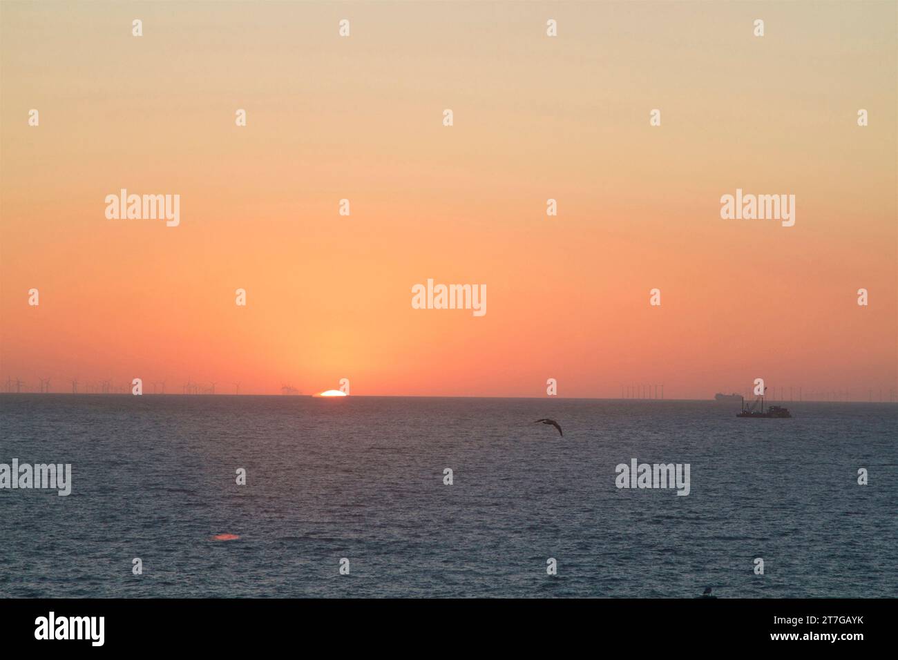 orange sky with yellow sun going down over the sea with ships, bird and wind turbines in view ...