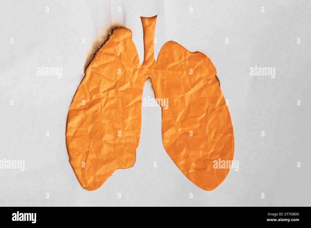 Smoked paper with hole in shape of human lungs, top view. No smoking ...