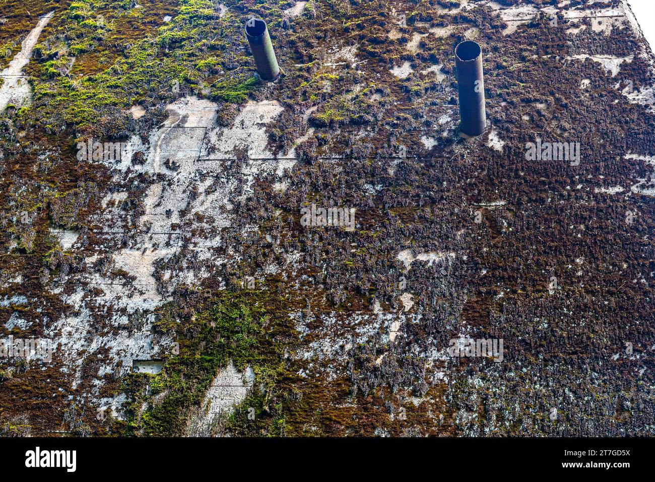 Wolf's Lair is a town of bunkers surrounded by forest, lakes and swamps ...