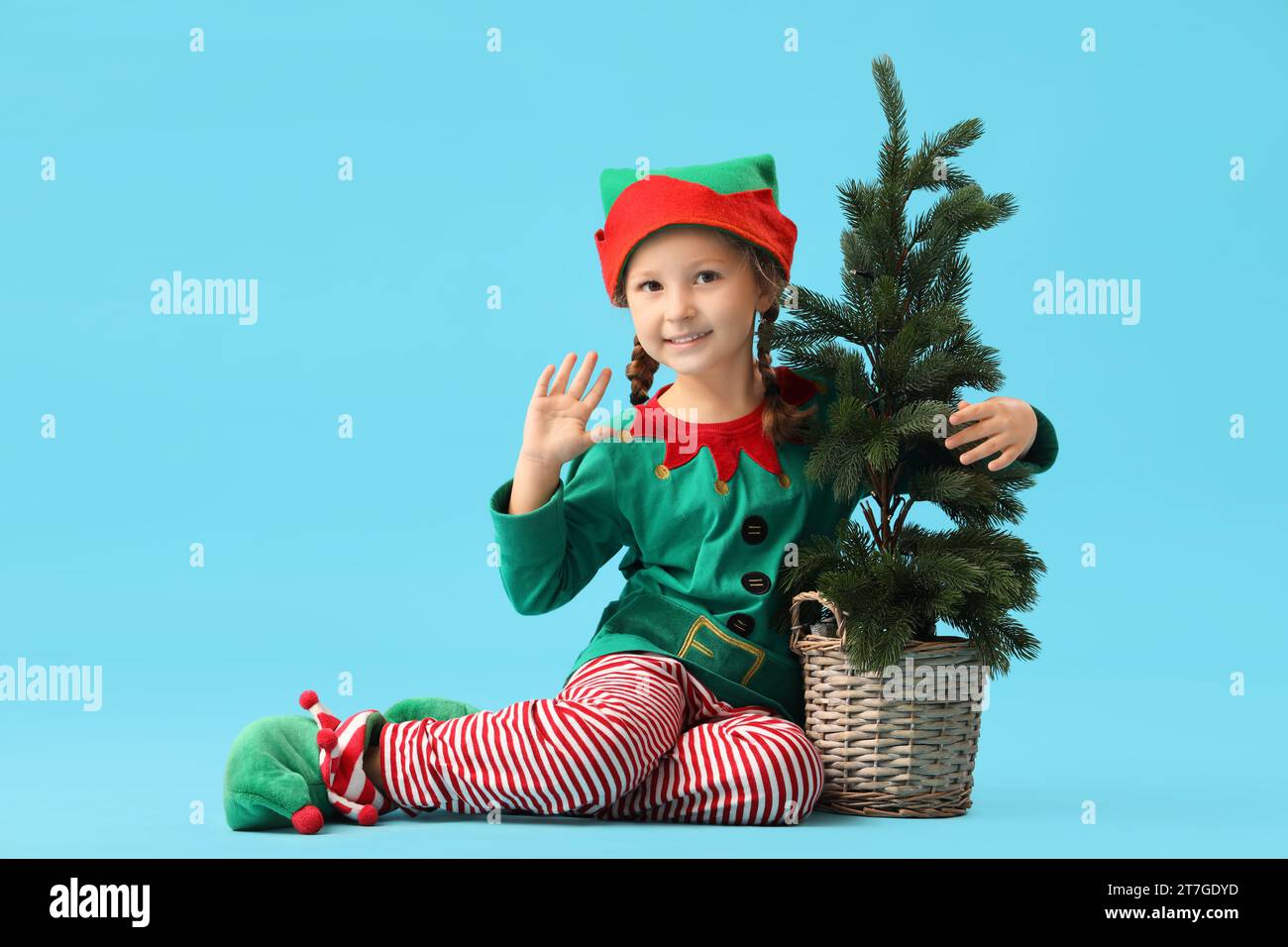 Cute little elf with Christmas tree sitting on blue background Stock ...