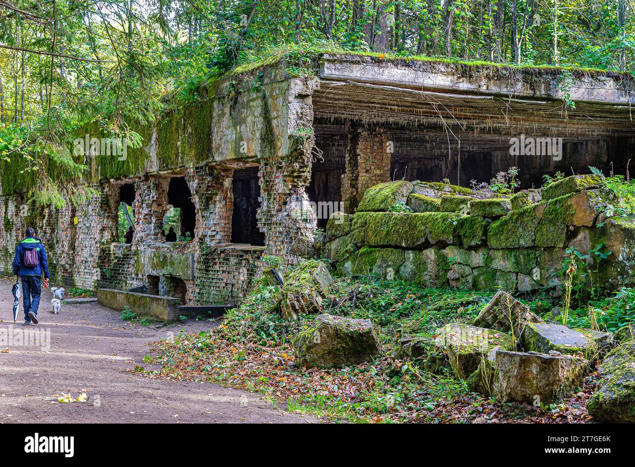 Wolf's Lair is a town of bunkers surrounded by forest, lakes and swamps ...