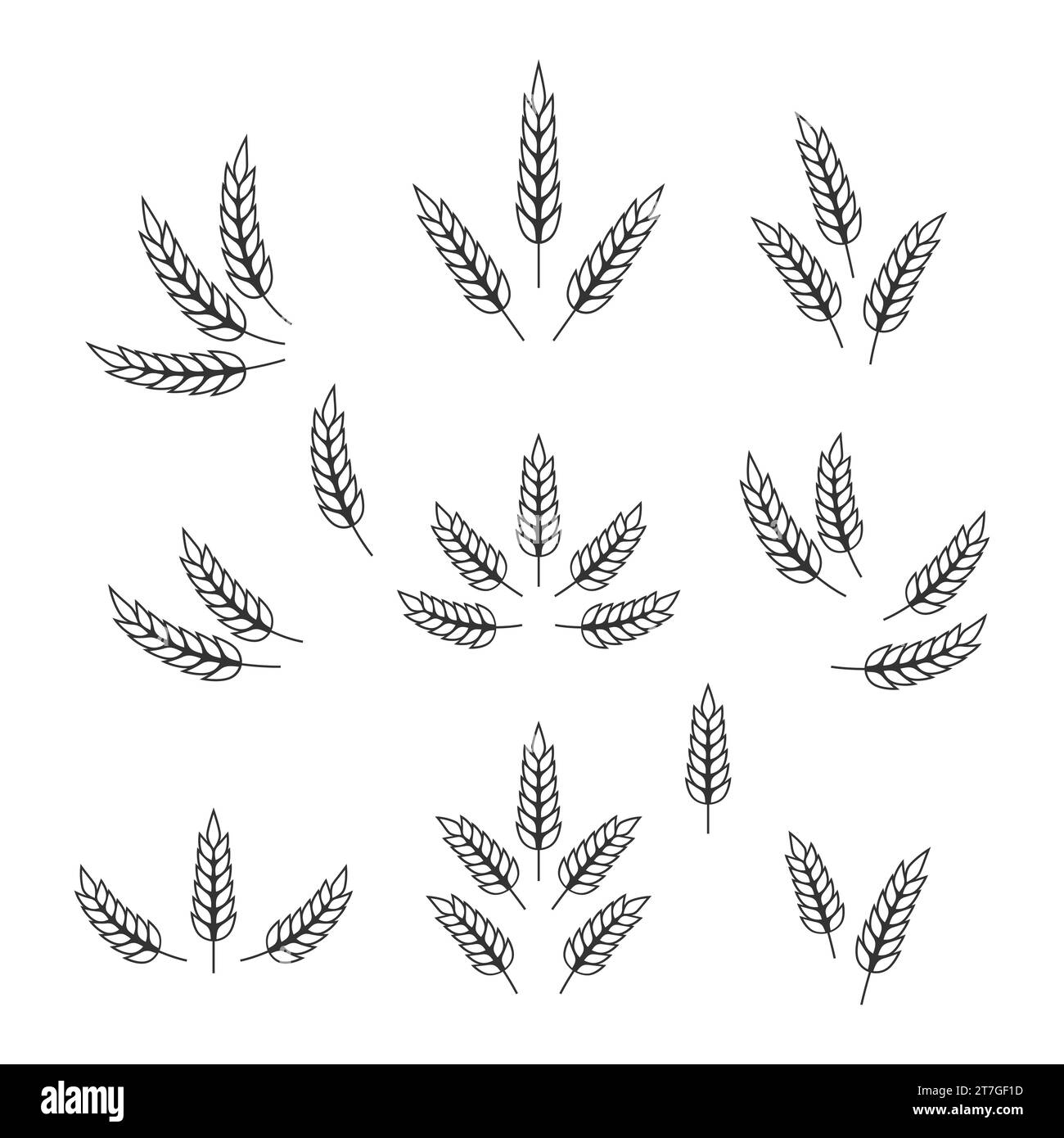 Flat Vector Agriculture Wheat Icon Set Isolated, Organic Wheat, Rice ...