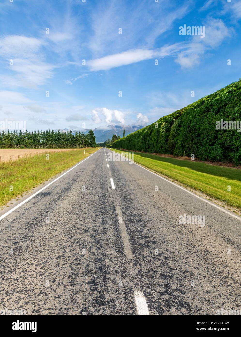 Hedges and shelterbelts on the Canterbury Plains of New Zealand extend ...