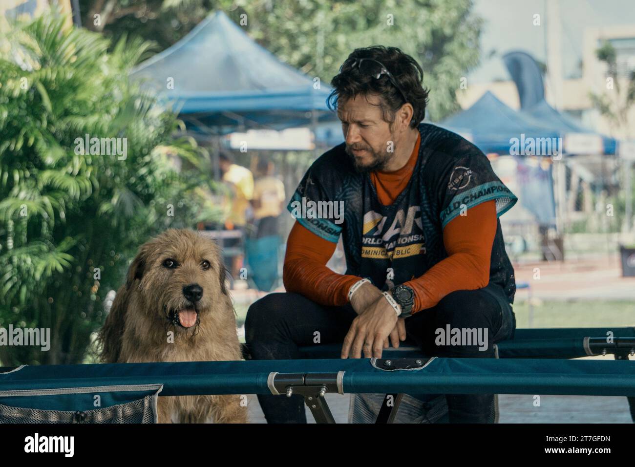 Arthur the king mark wahlberg hi-res stock photography and images - Alamy
