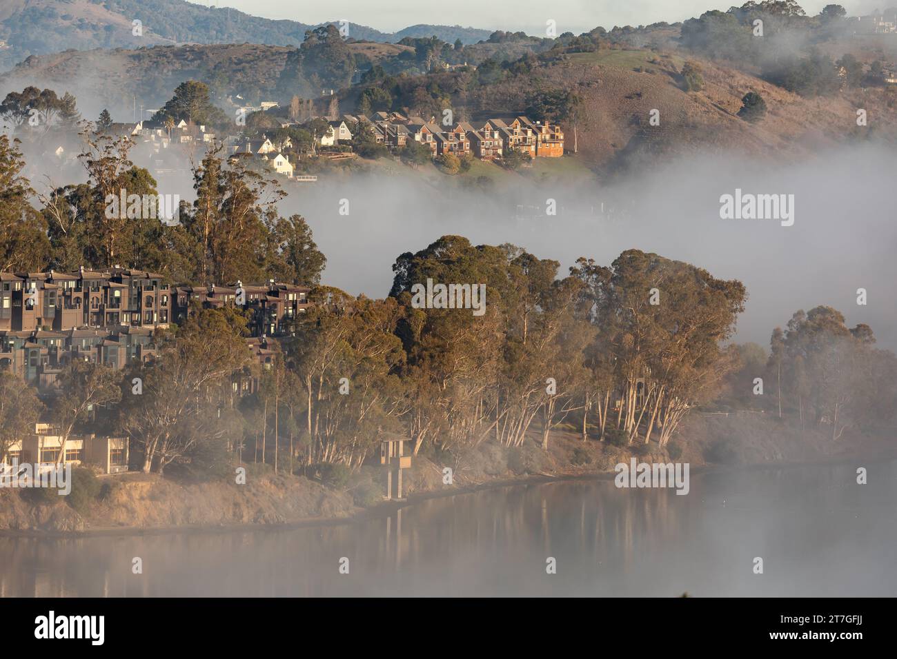 Morning mist and fog rises over the houses and woodlands o Richardson ...