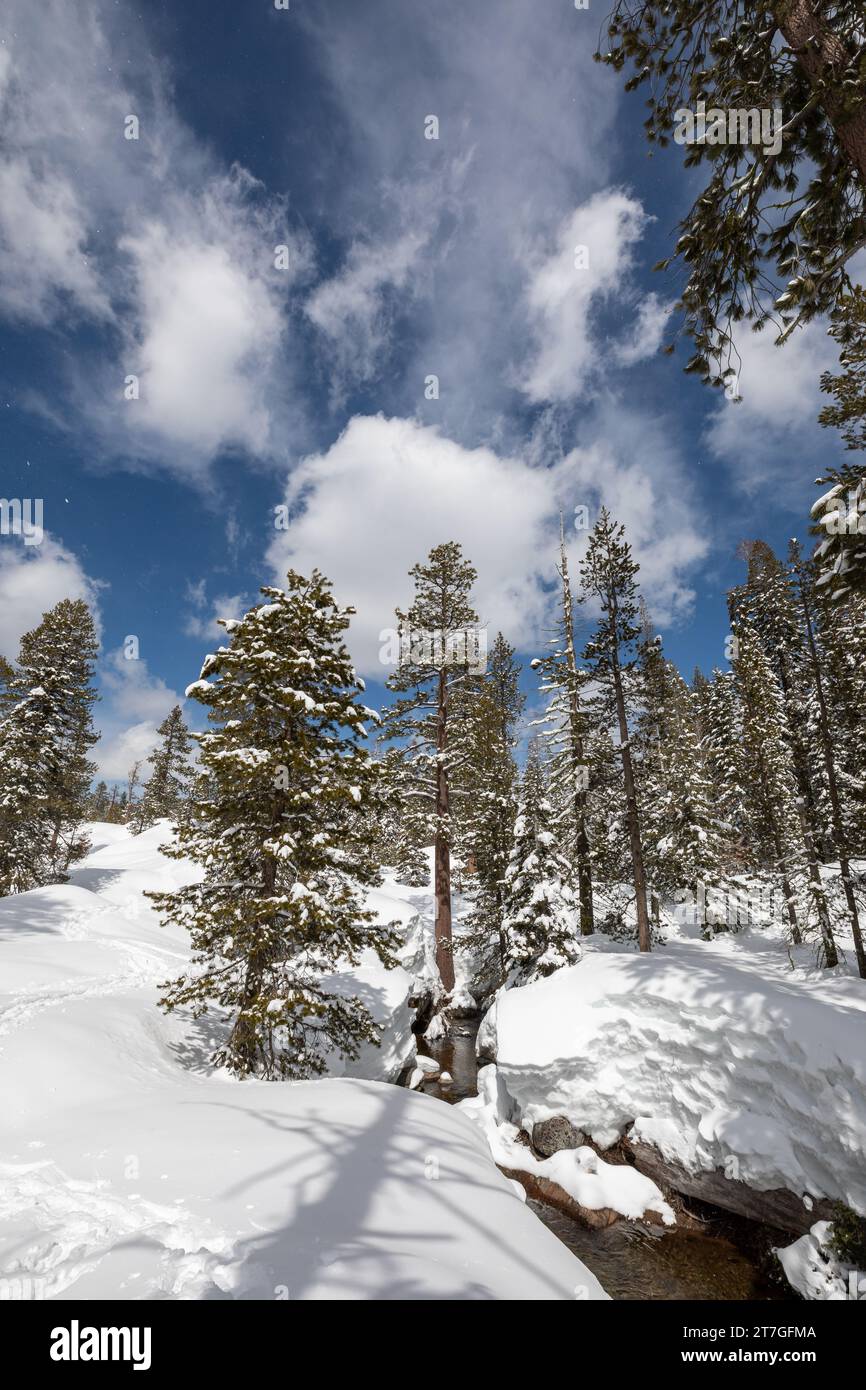 Hike along stream in hi-res stock photography and images - Alamy