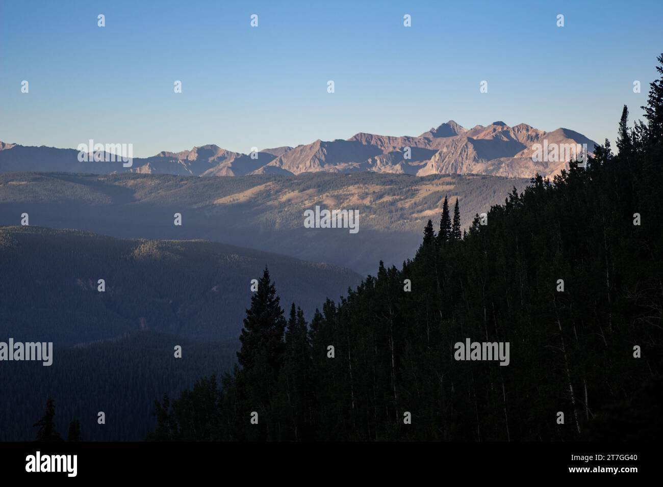 Fryingpan hi-res stock photography and images - Alamy