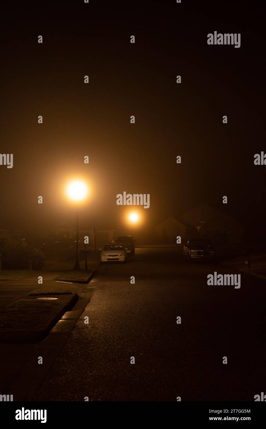 Foggy night on a neighborhood suburban street with street light only ...