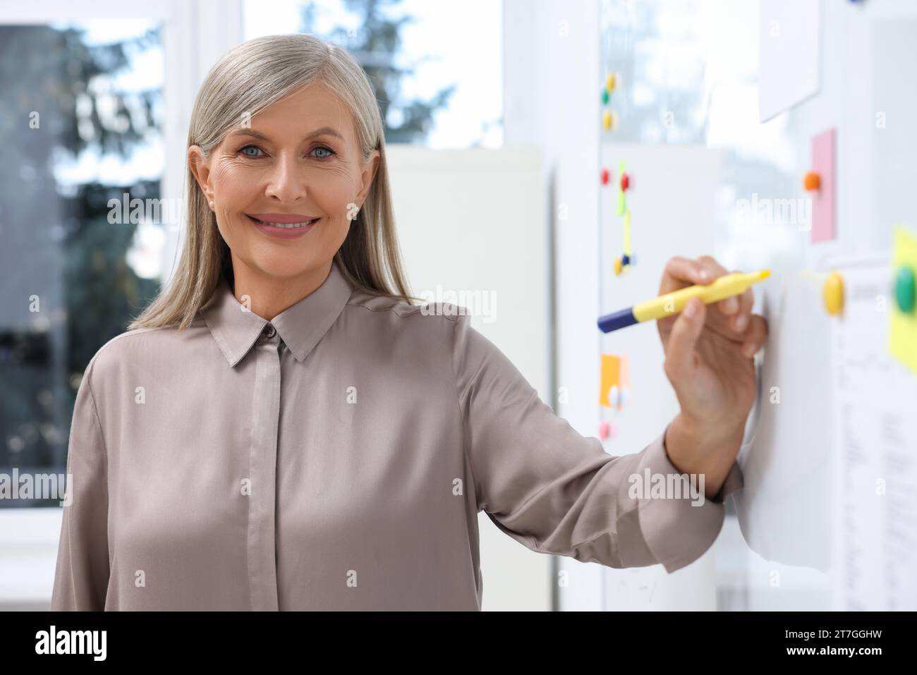 Professor explaining something with marker at whiteboard in classroom ...