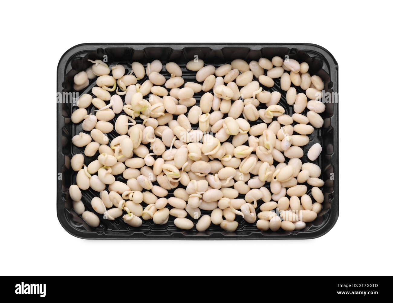 Plastic tray with sprouted kidney beans isolated on white, top view ...