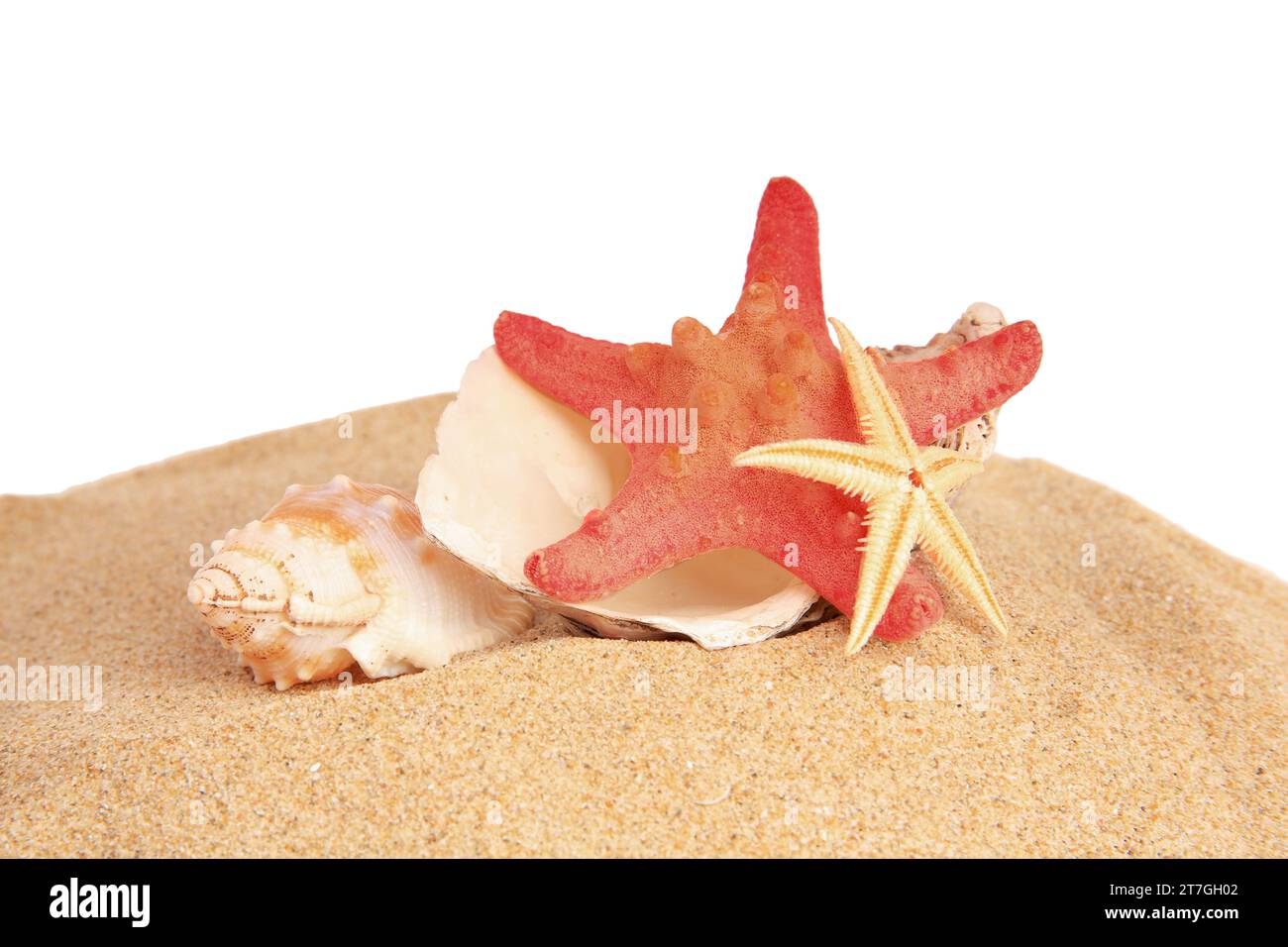Sand with many beautiful sea stars and seashells isolated on white ...
