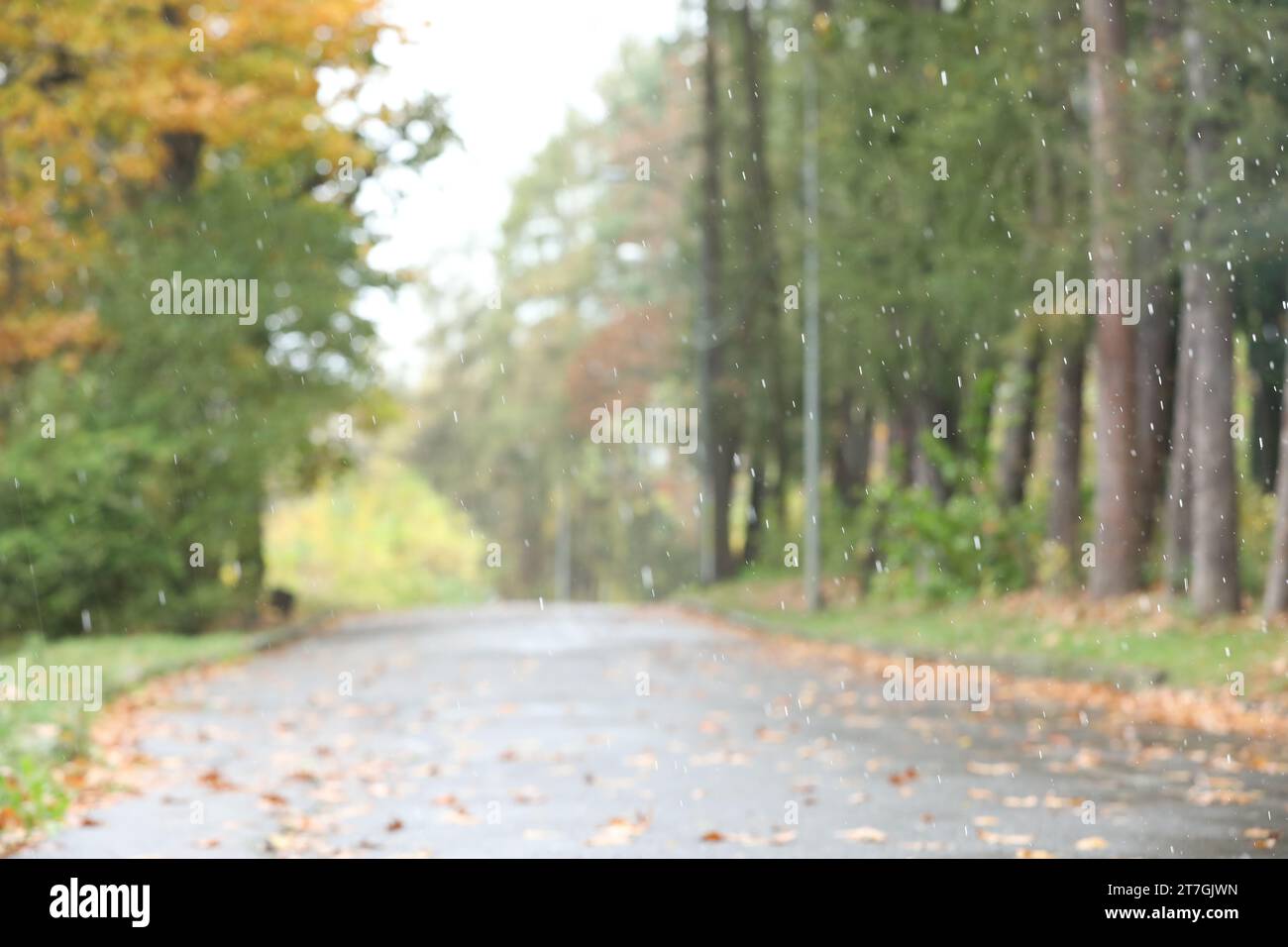 Blurred view of pathway in autumn park on rainy day Stock Photo - Alamy