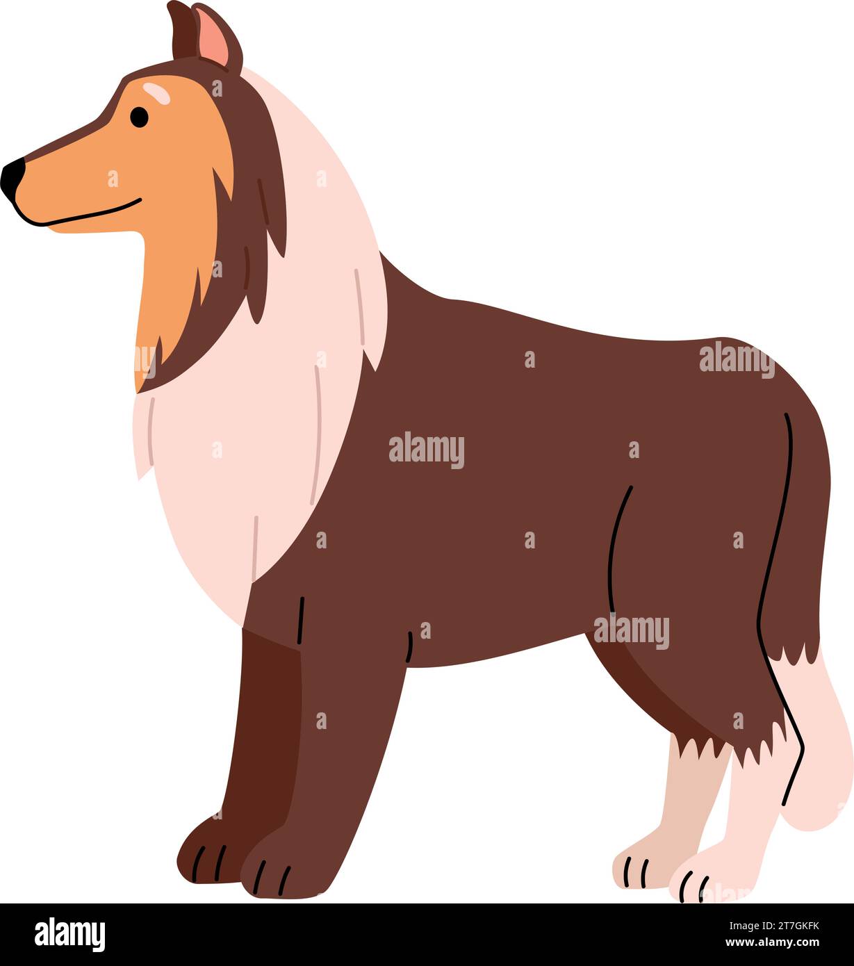 Young border collie dog Stock Vector Images - Alamy