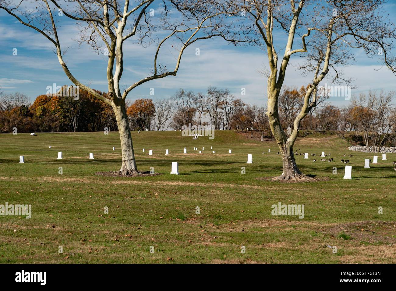 White marks of burial plots and cross in the background for boys ...