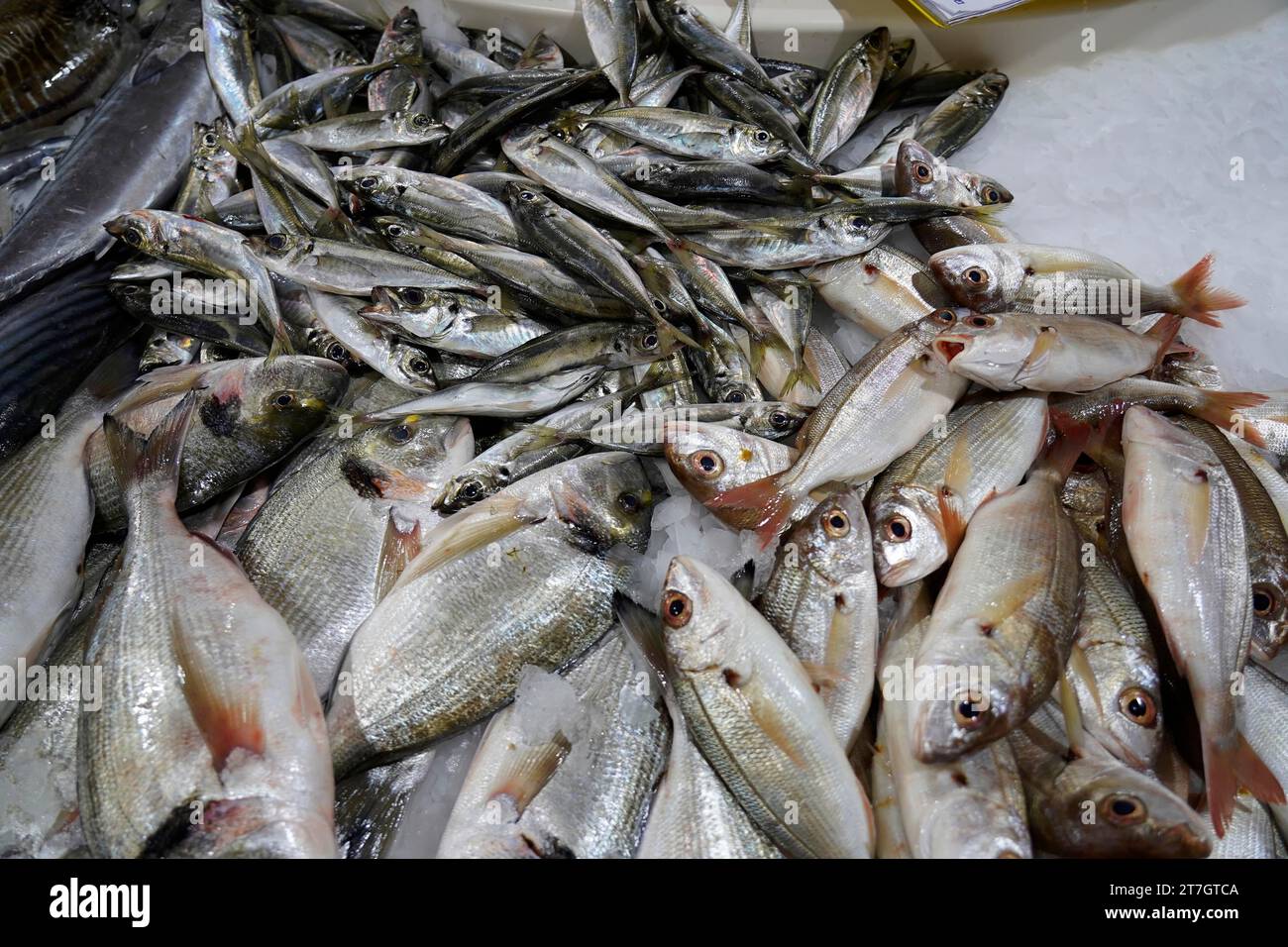Fresh raw fish, seafood, fish market hall, market hall, Lagos, Portugal ...