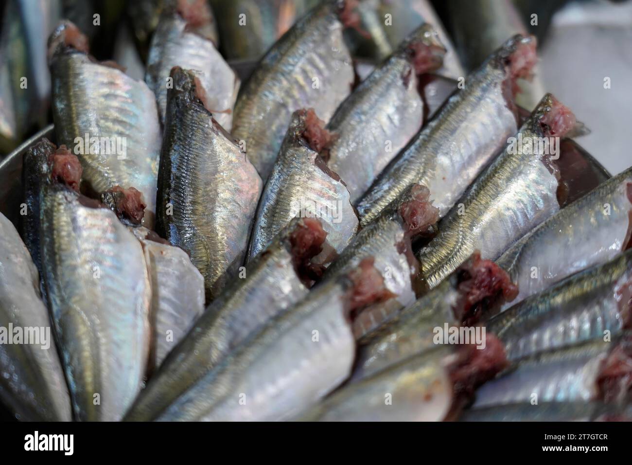 Fresh raw fish, seafood, fish market hall, market hall, Lagos, Portugal ...