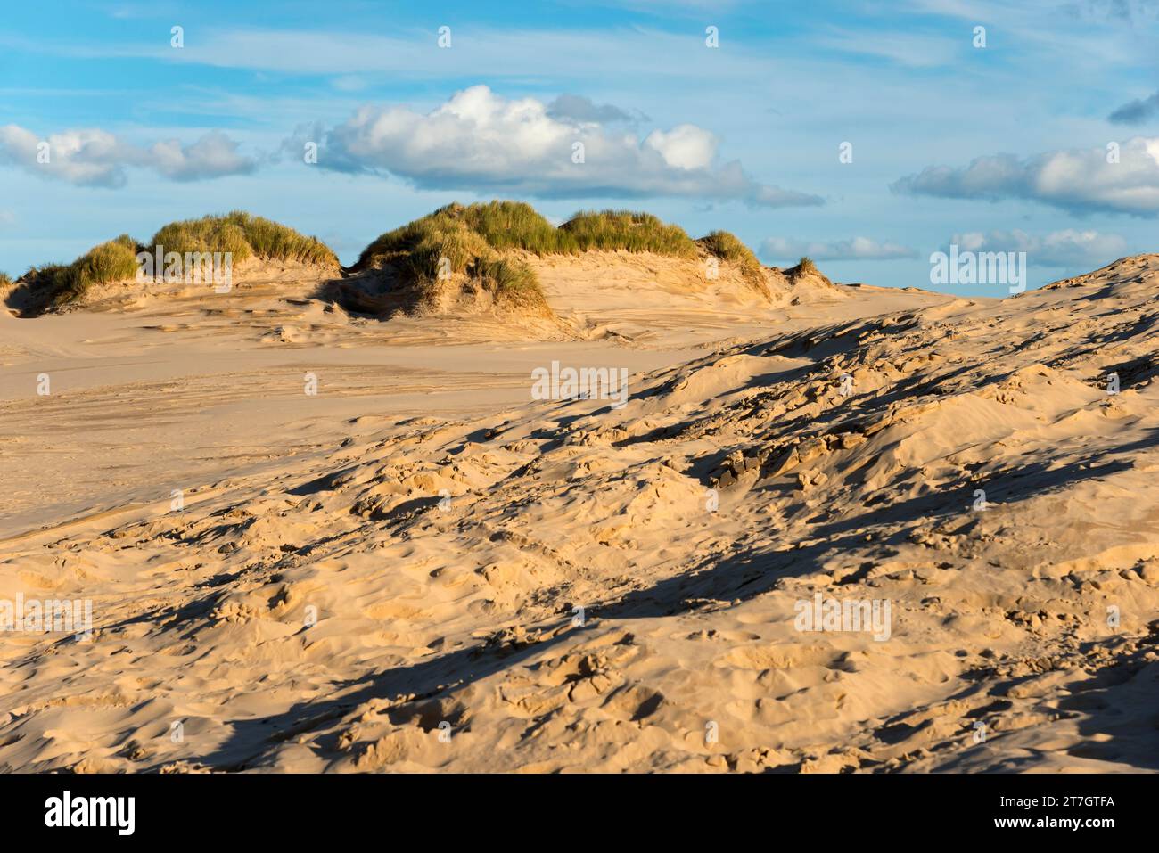 Travelling dune, Rabjerg Mile, Rabjerg Mile, landscape conservation ...