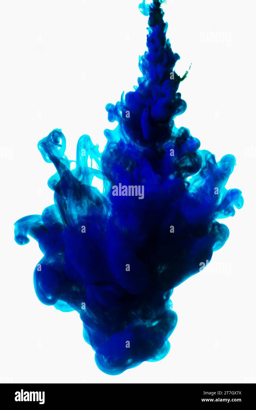 Underwater detail Cut Out Stock Images & Pictures - Alamy