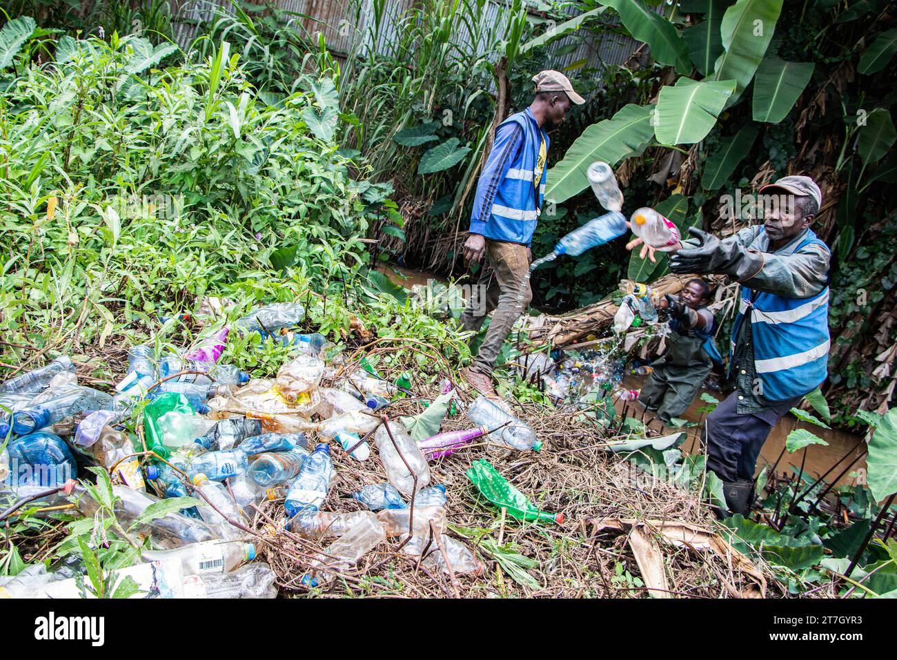 Kiambu, Kenya. 15th Nov, 2023. Volunteers from Sana Mare Organization ...