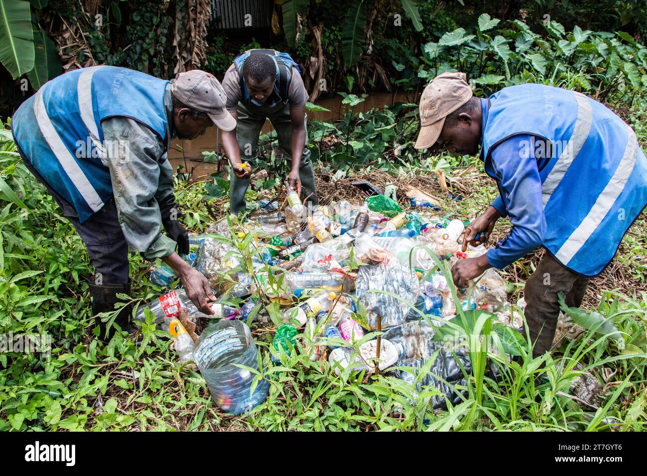 Kiambu, Kenya. 15th Nov, 2023. Volunteers from Sana Mare Organization ...