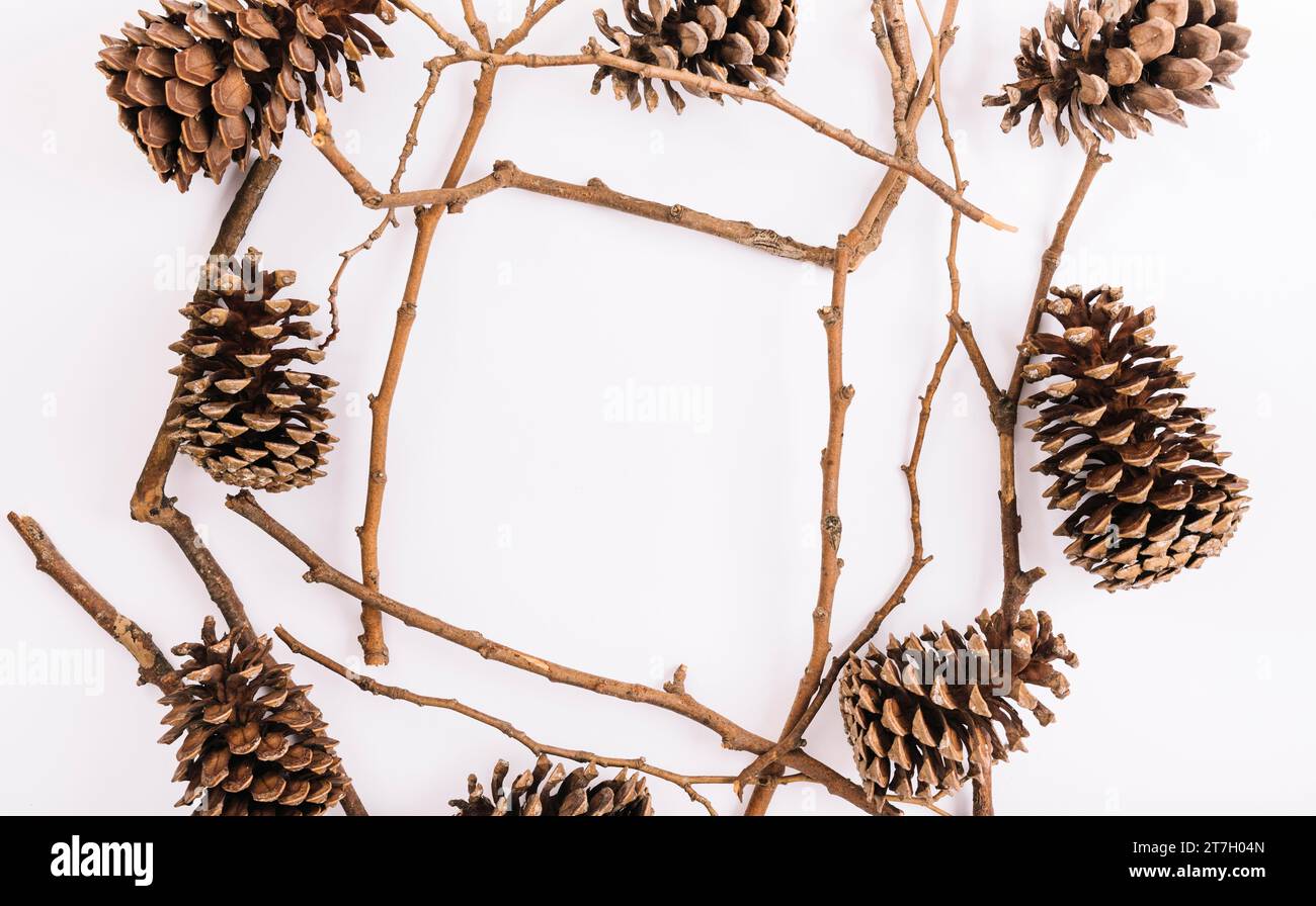 Twig frame hi-res stock photography and images - Alamy