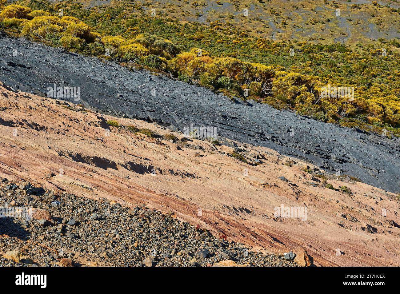 Detail, mountain flank, black lava, red lava rock, yellow broom ...