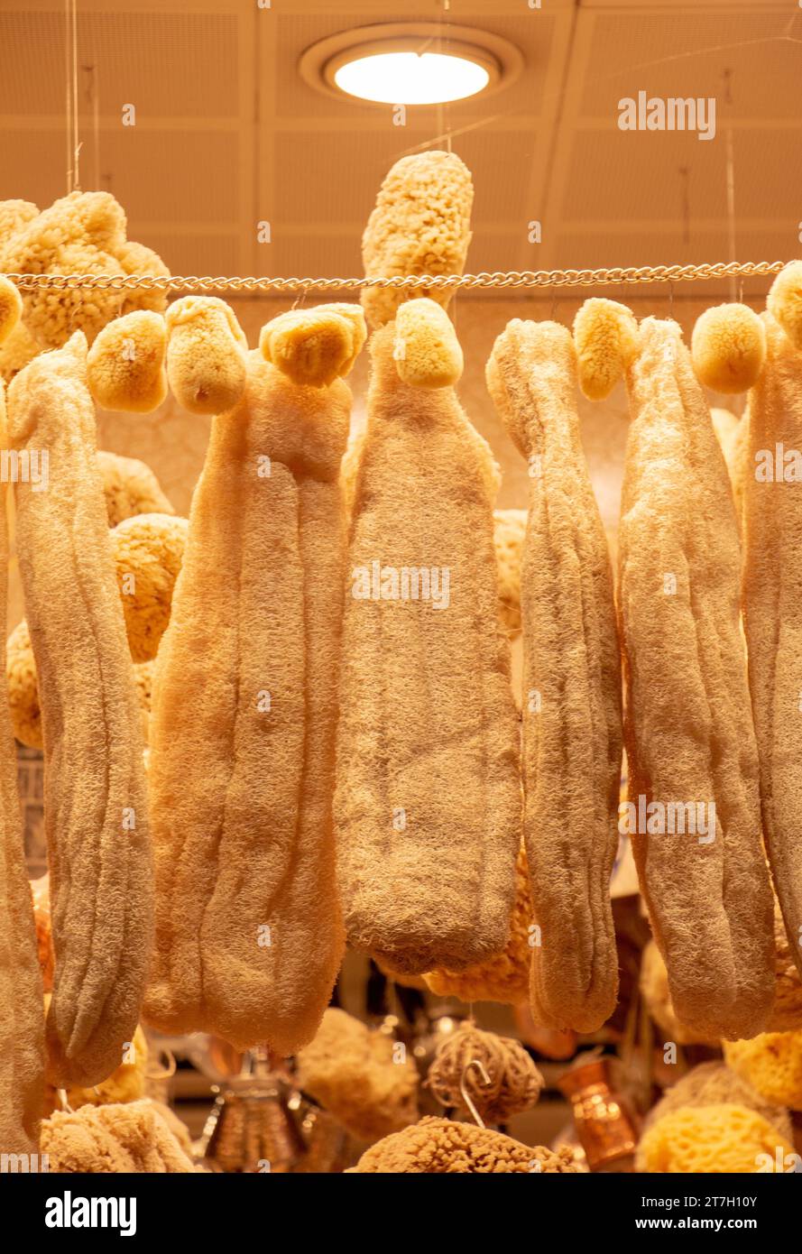 Collection of natural marine sea sponges for spa and Wellness on a ...