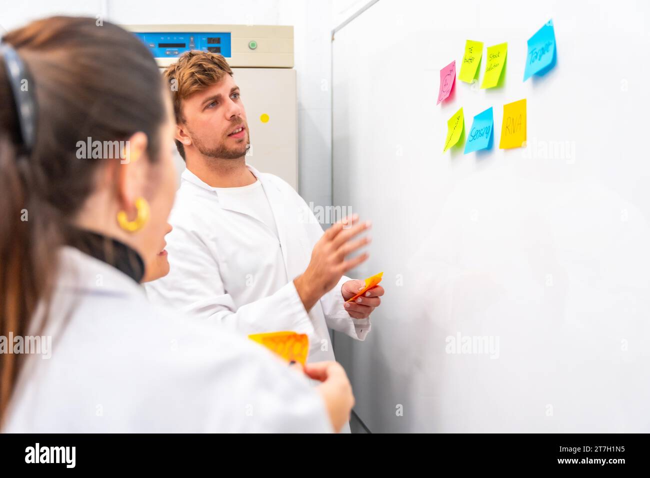 Side view of biologists using adhesives notes during a brainstorming in ...